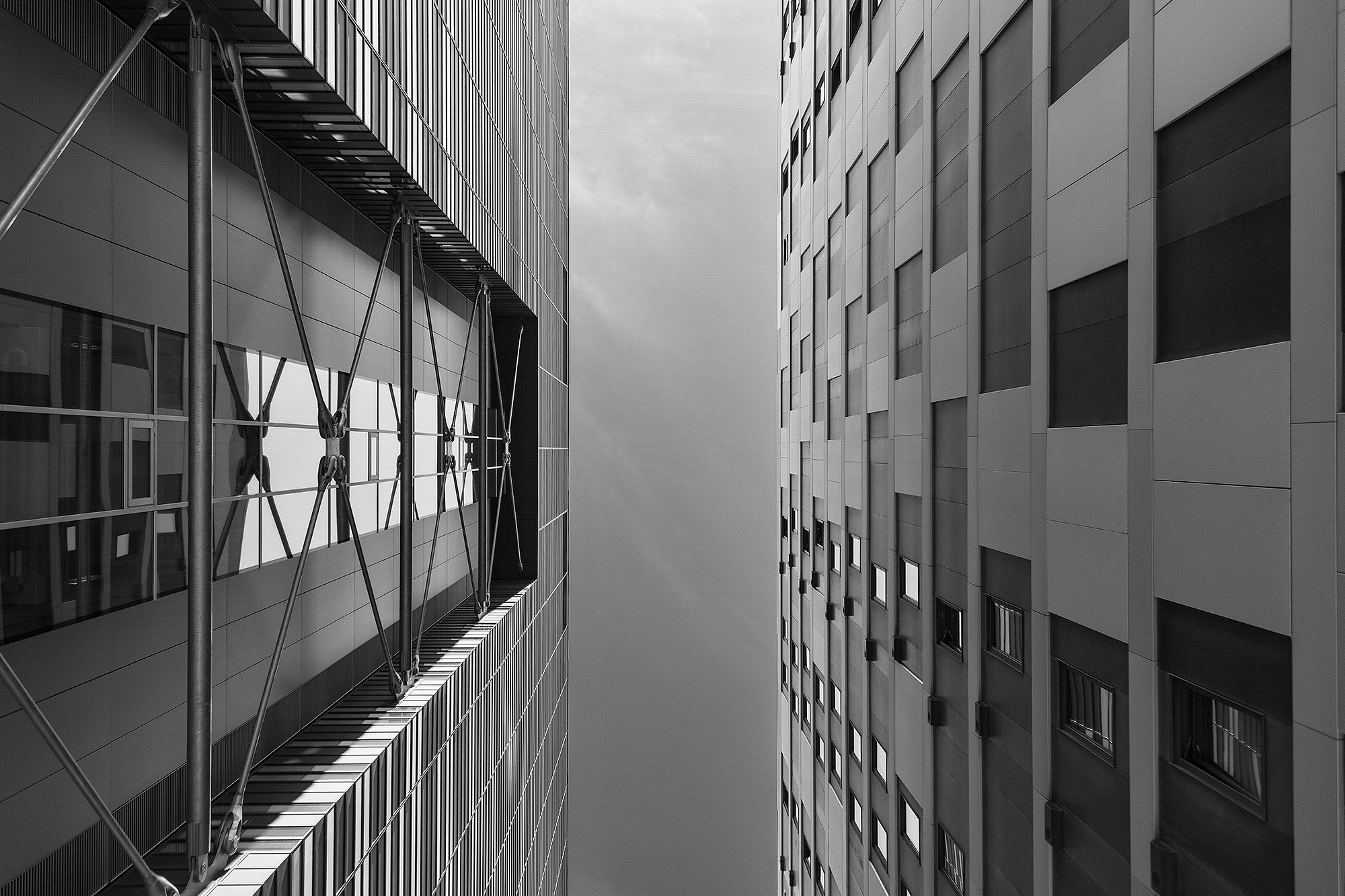 Why and how AI is bad for photography? | Camerapixo Press